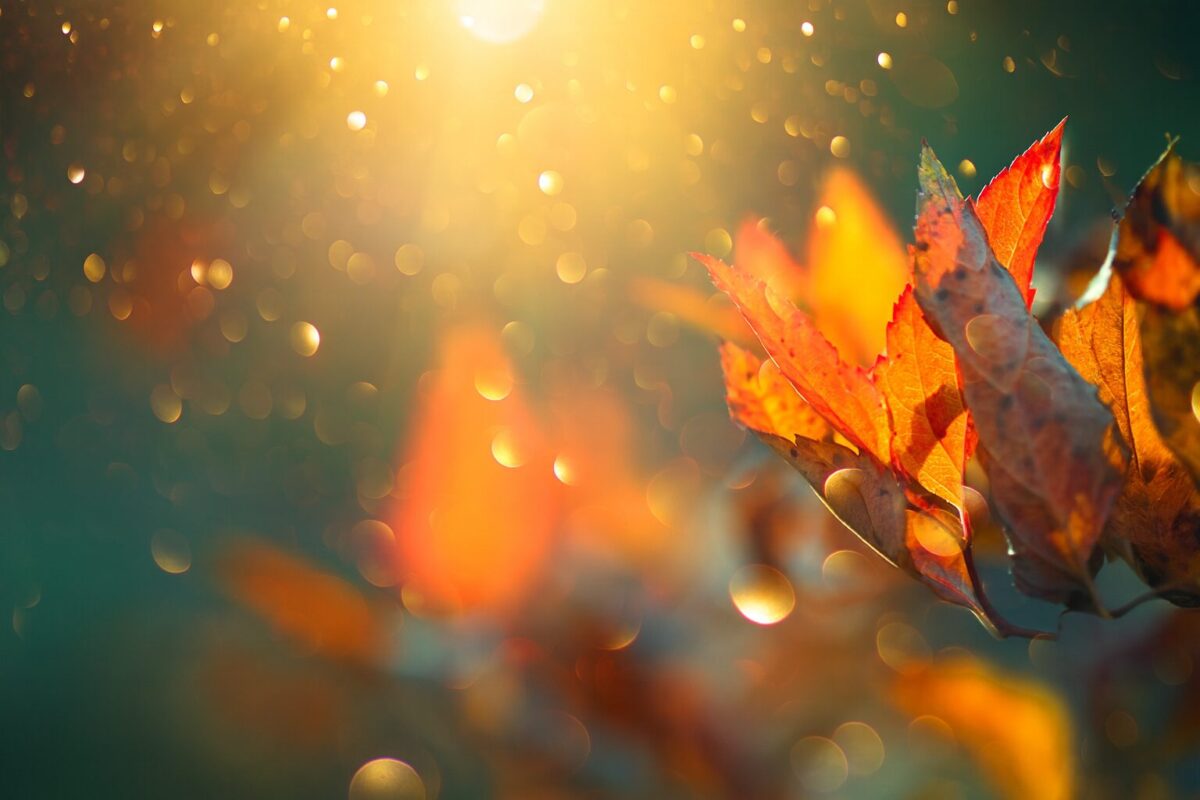 Kidney Center of Columbus East - Innovative Renal Care